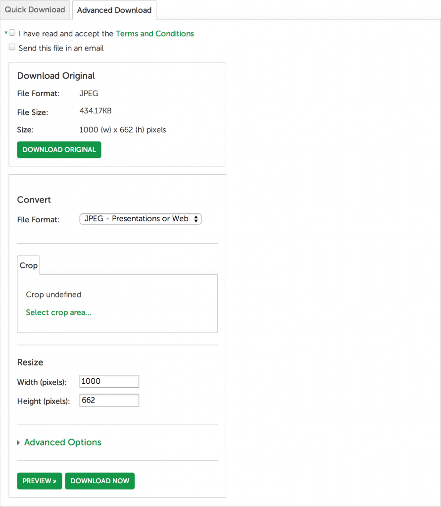 Asset Library – 10 Essential Features