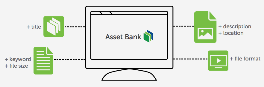 What types of files should you store in a Digital Asset Management system?