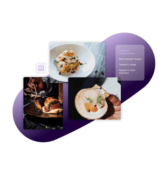 Image library software: complete guide to managing visual content
